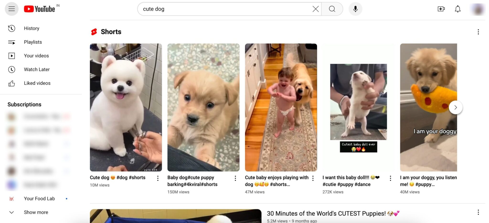 10 个最佳视频搜索引擎 - WordPress建站帮 (WPJZB)